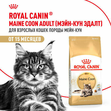 ROYAL CANIN MAINE COON ADULT 400 г корм для кошек породы мейн-кун старше 15 месяцев (1+1)