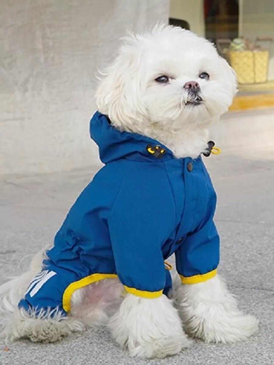 Одежда для собак дождевик
