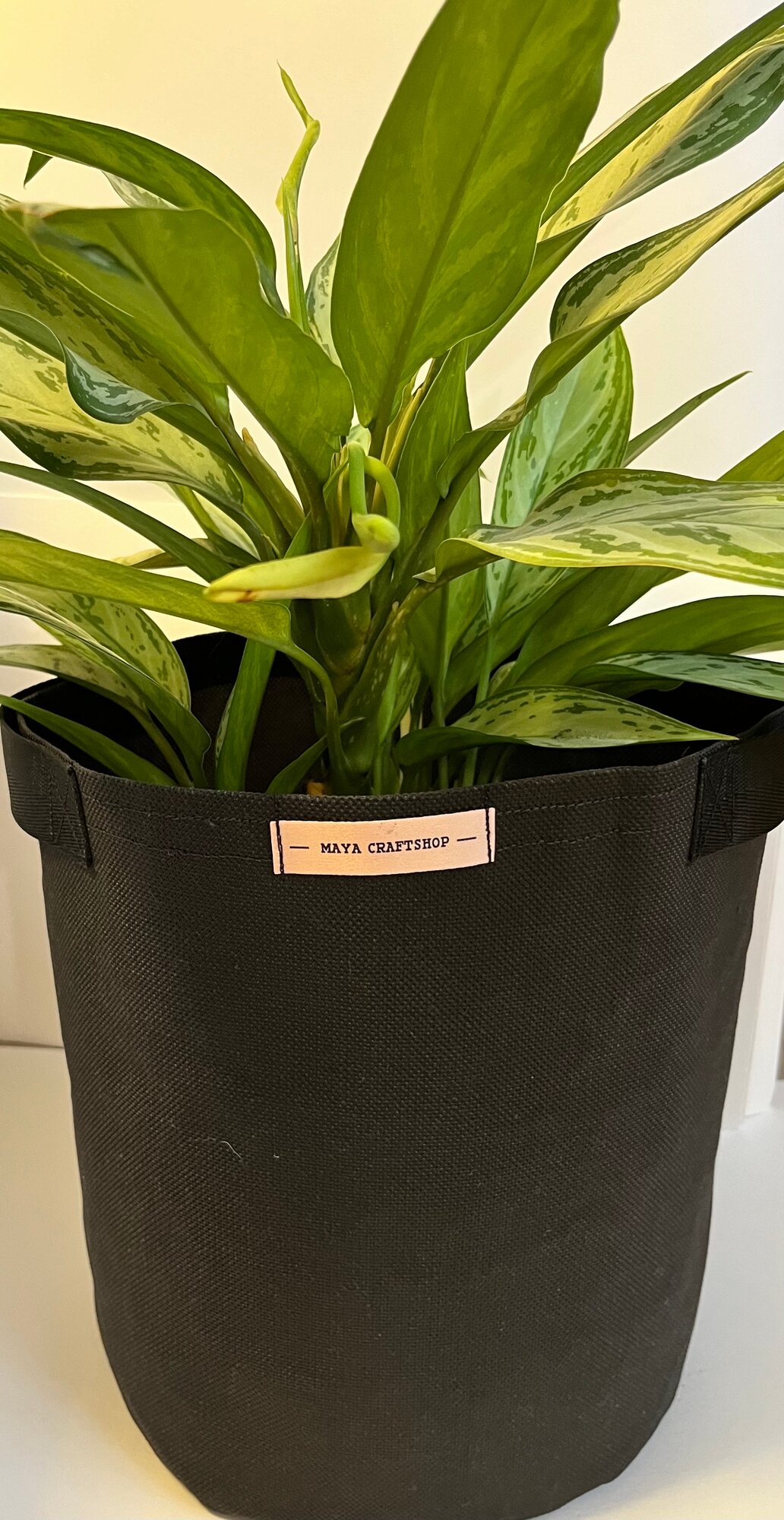 Горшок MAYA CRAFTSHOP, геотекстильный, напольный, черный, 15 литров