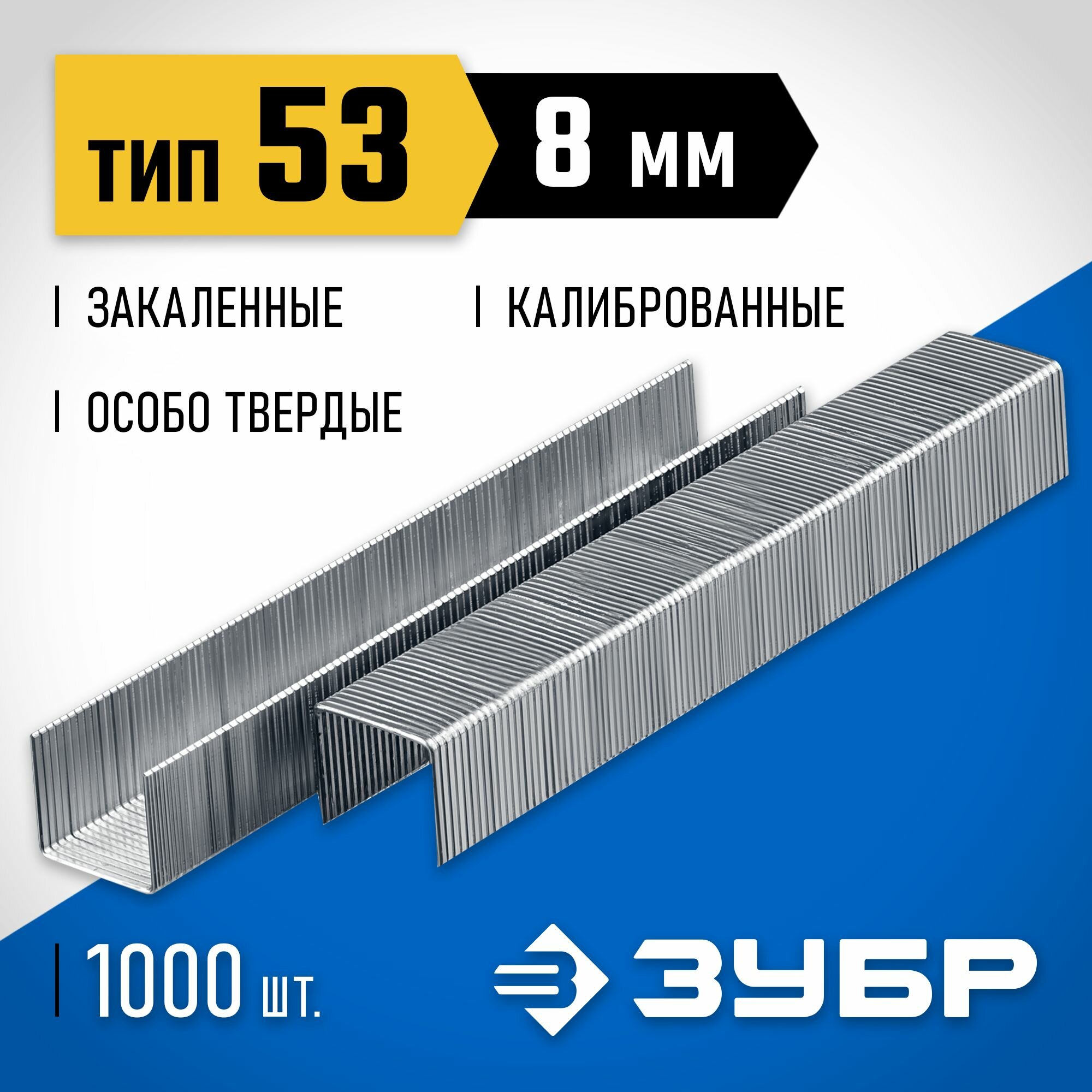 Скобы ЗУБР тип 53 (A / 10 / JT21), 8 мм, 1000 шт, закаленные, калиброванные, тонкие особотвердые Профессионал