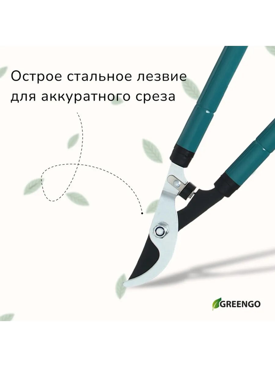 Телескопический сучкорез для веток