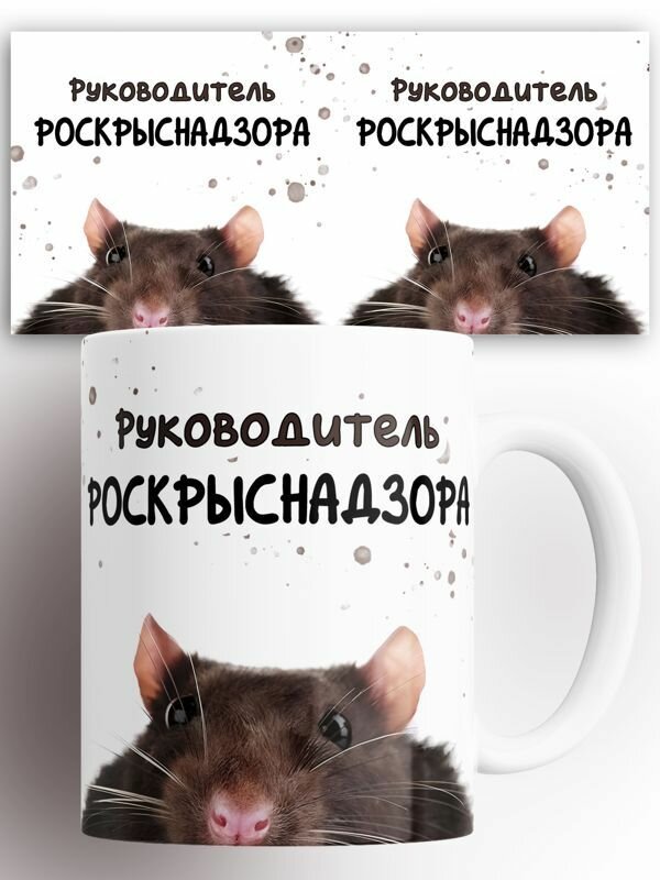 Кружка с принтом Руководитель роскрыснадзора 330 мл