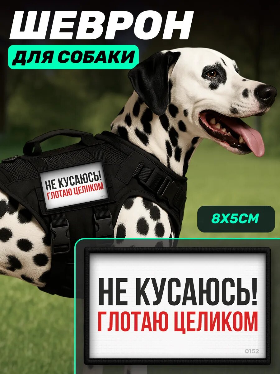 Шеврон на шлейку для собак Не кусаюсь глотаю целиком