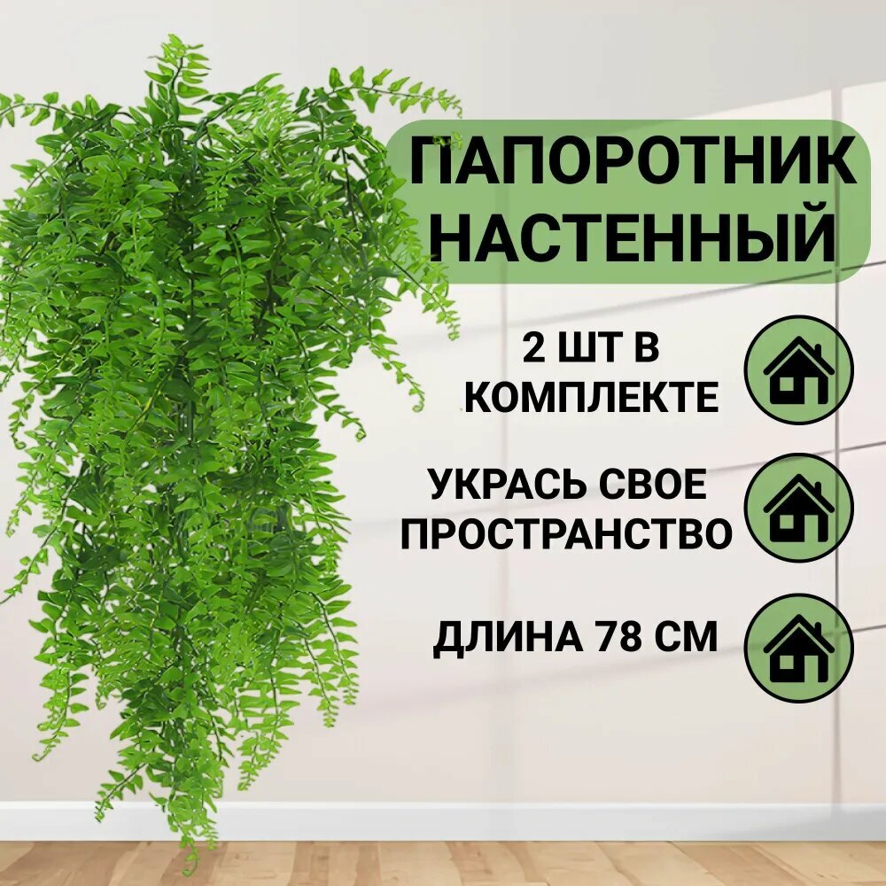 Папоротник настенный свисающий, растение на стену, для декора интерьера цветок декоративная зелень