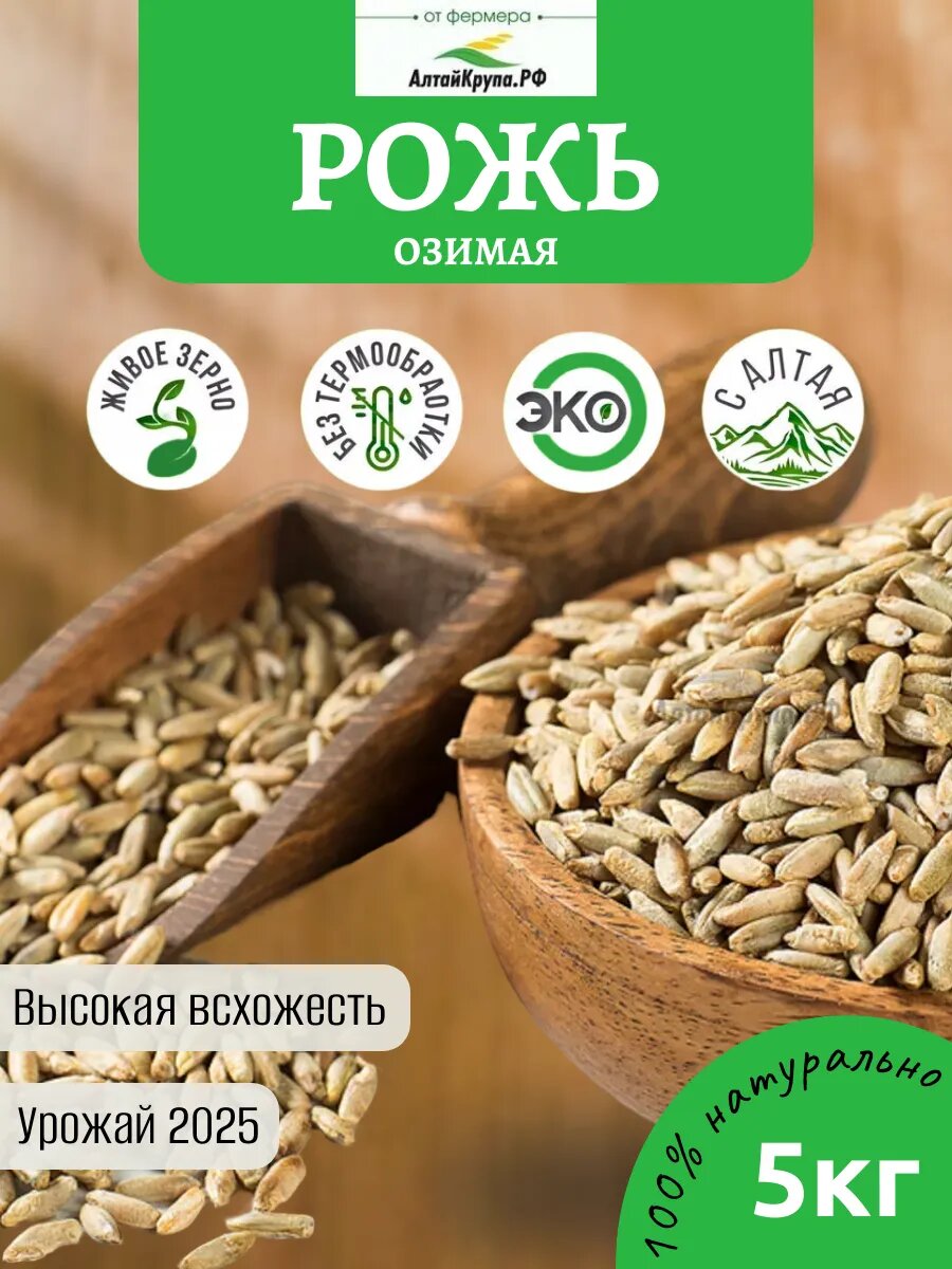Рожь озимая подходит для проращивания 5 кг