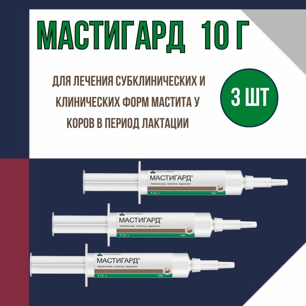 Мастигард 10 г шприц, 3 штуки