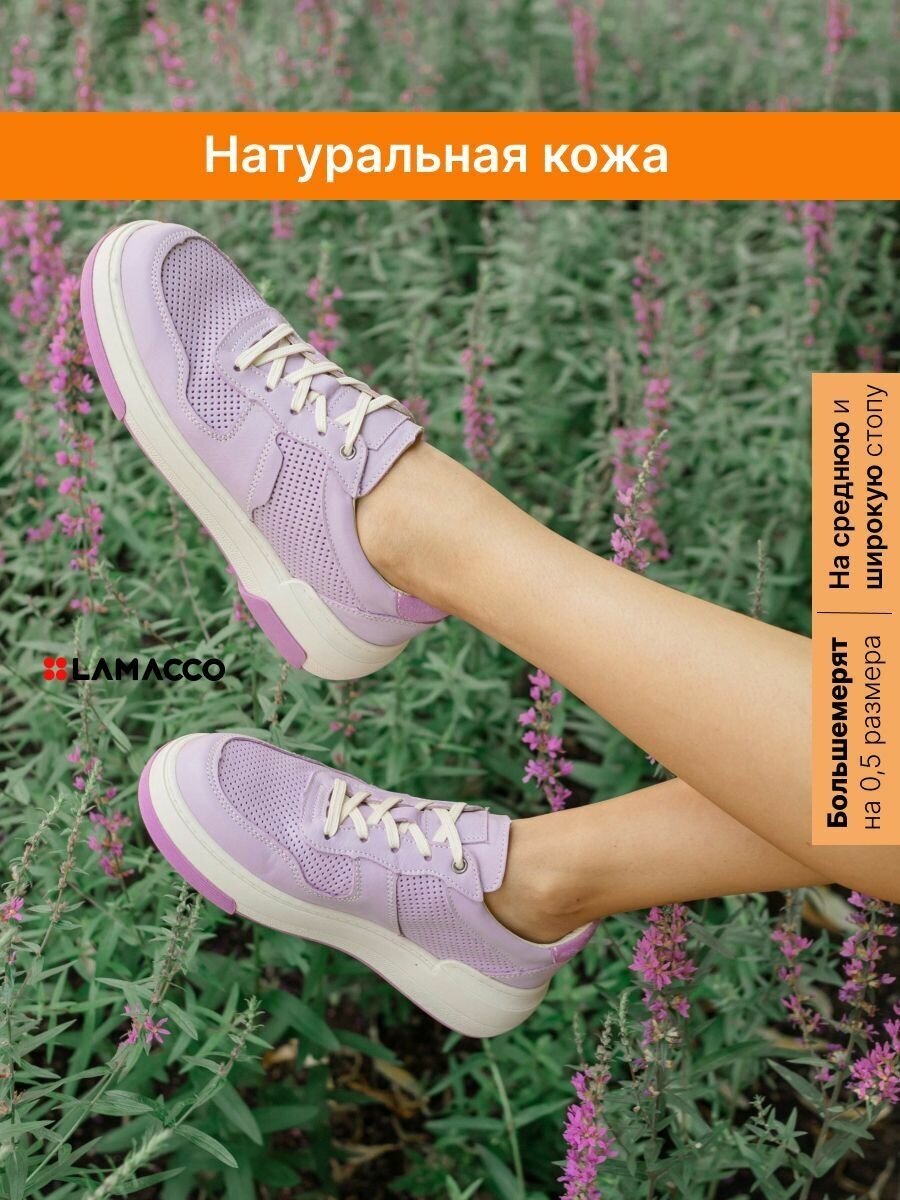 Кеды