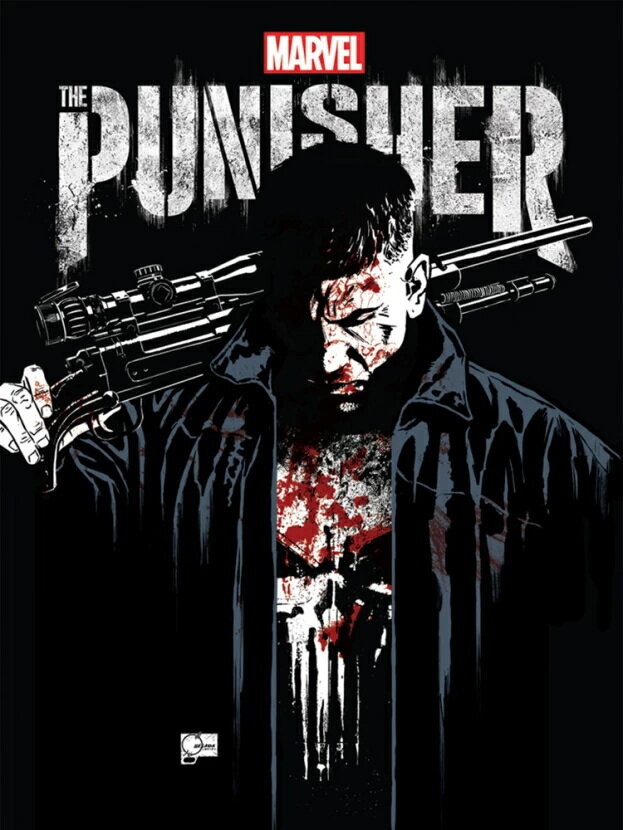 Плакат, постер Punisher, Каратель на холсте, размер 30х42см