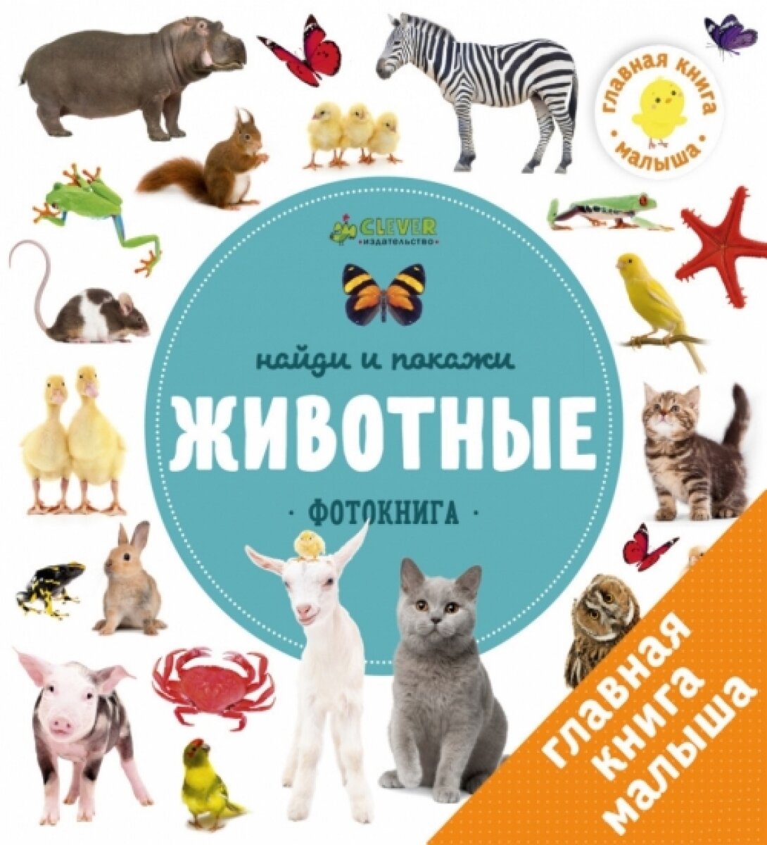 Найди и покажи. Фотокнига. Животные