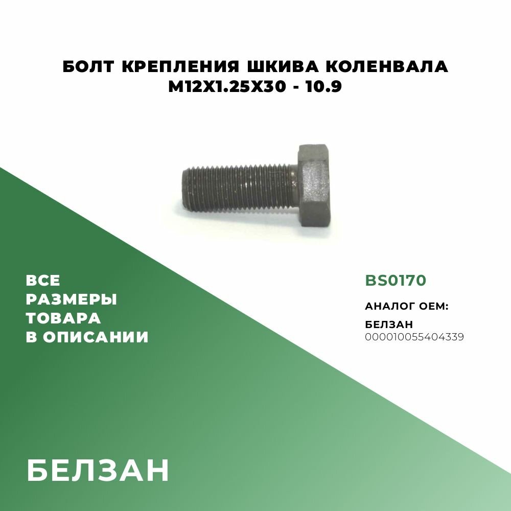 Болт шкива коленвала M12х30х1,25-10.9; ОЕМ:000010055404339; BS0170