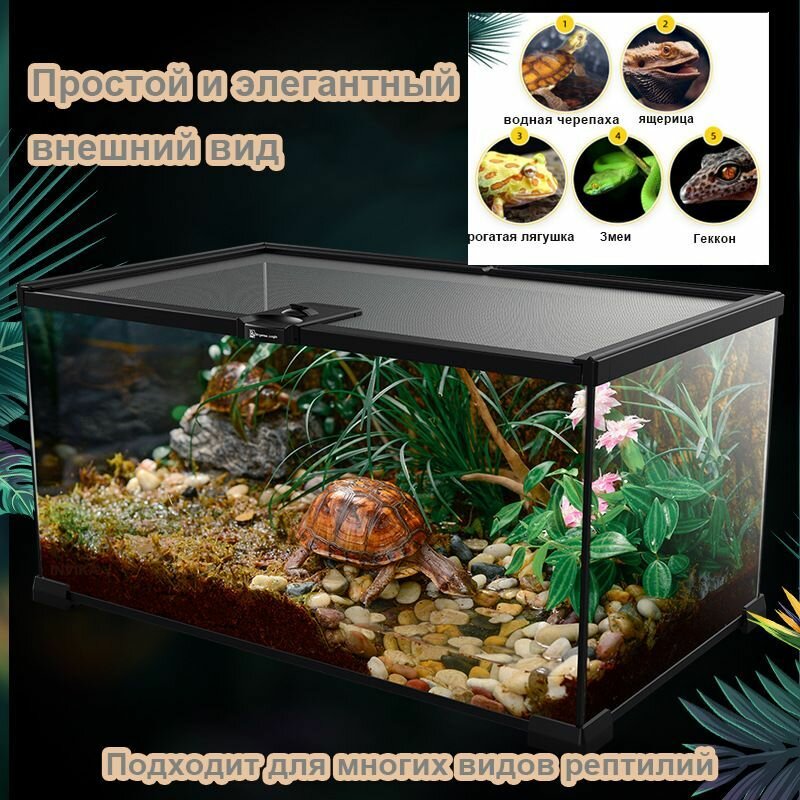 Контейнеры для выращивания рептилий и амфибий, черные, стеклянные, 20x30x15 см