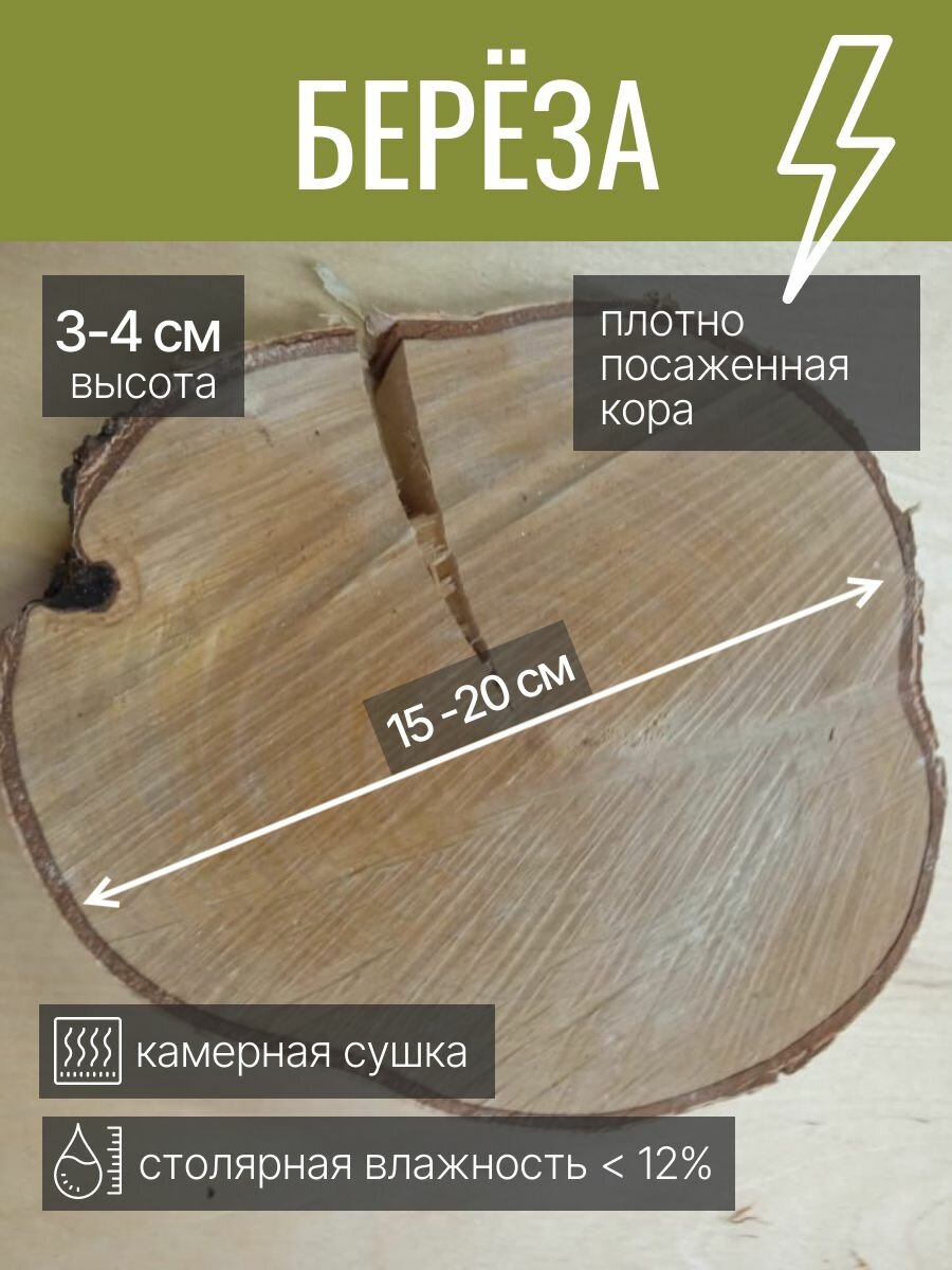 Спил дерева, Берёза c трещиной d 15-20 см, срезы, для декора и творчества, деревянные заготовки