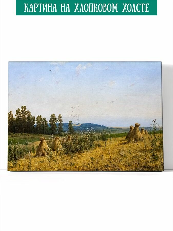Картина на хлопковом холсте - Сжатое поле. Полесский пейзаж. Иван Шишкин, 60х80 см