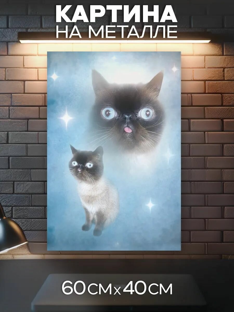 Картина на металле Cat - кот