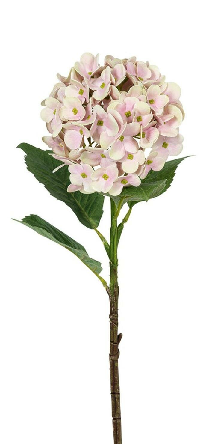 Fiebiger Floristik 206106-401 Ветка декоративная "Гортензия", 46 см