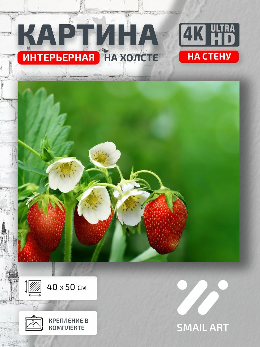 Картина на холсте интерьерная 40 на 50 на стену Ягоды Food для офиса кулинария интерьер
