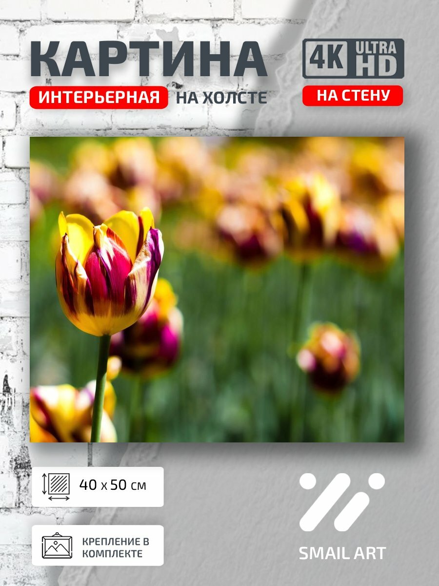 Картина на холсте интерьерная 40 на 50 на стену Поле Landscape для спальни пейзаж интерьер