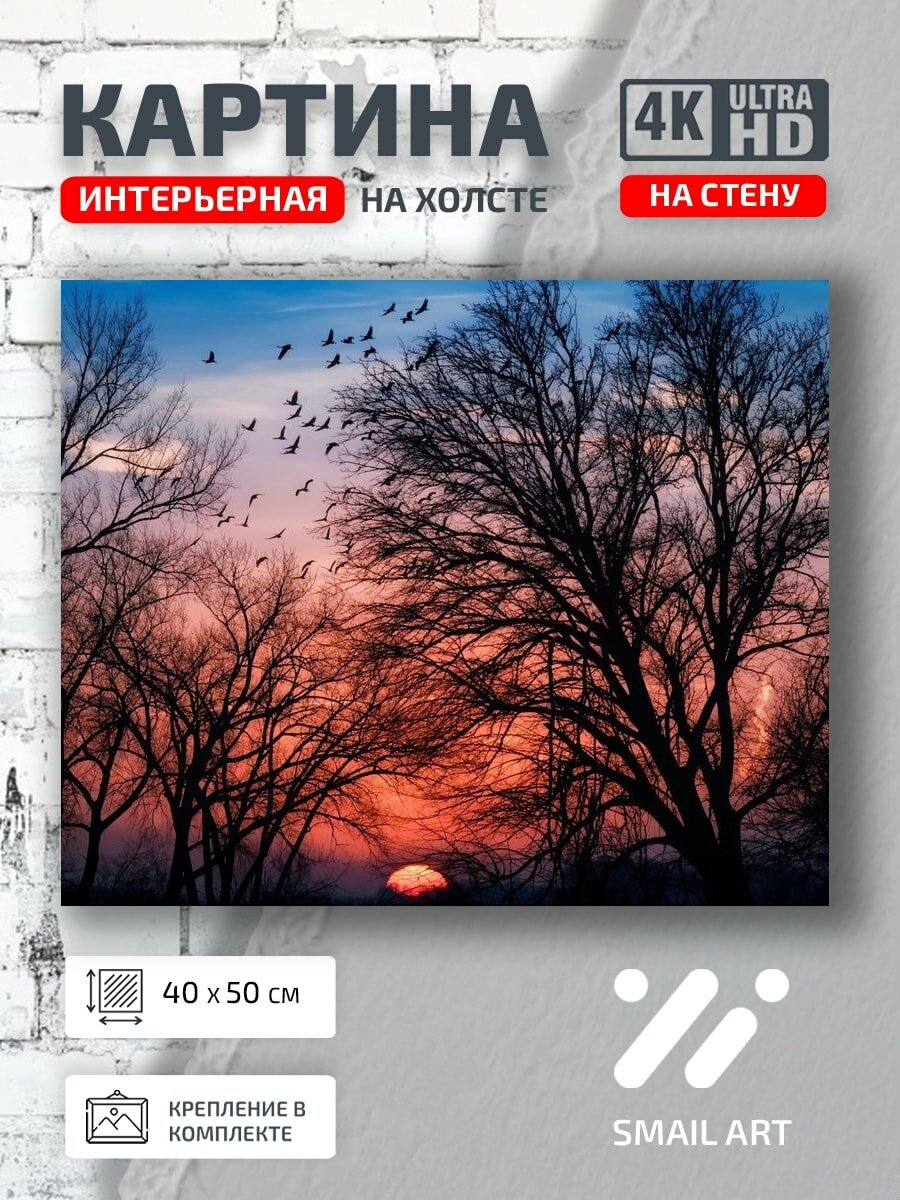 Картина на холсте интерьерная 40 на 50 на стену небо птицы для гостиной пейзаж