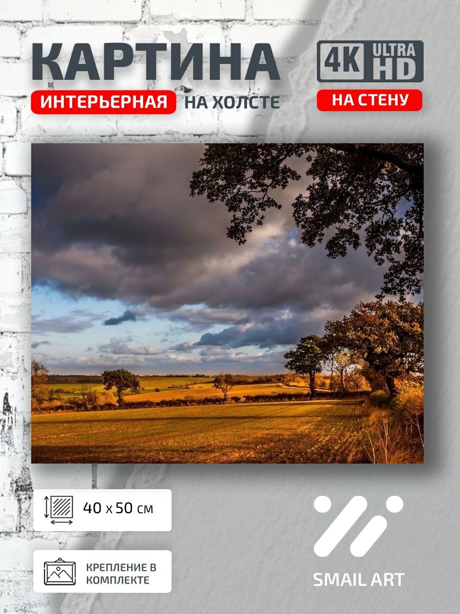 Картина на холсте интерьерная 40 на 50 на стену поле утро для студии атмосфера