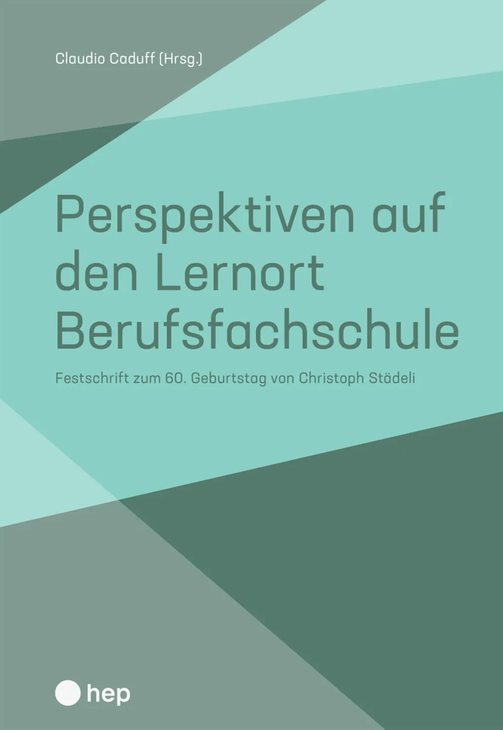 Perspektiven auf den Lernort Berufsfachschule (E-Book) [Цифровая книга]