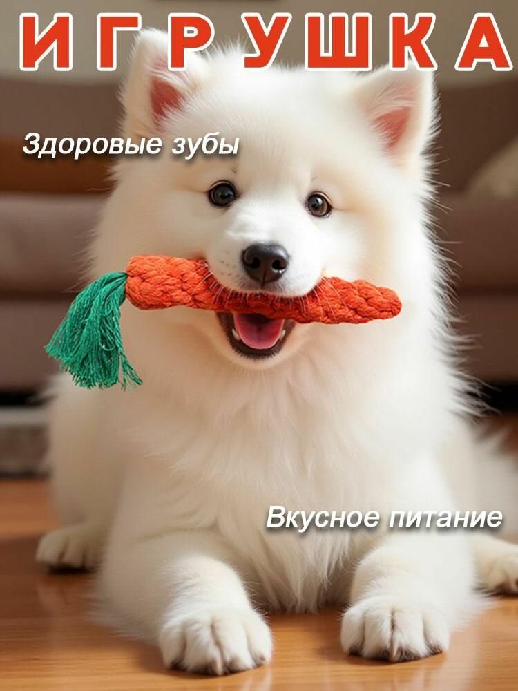 Прочная жевательная игрушка-морковка из хлопковой веревки подходит для собак маленьких и средних размеров.