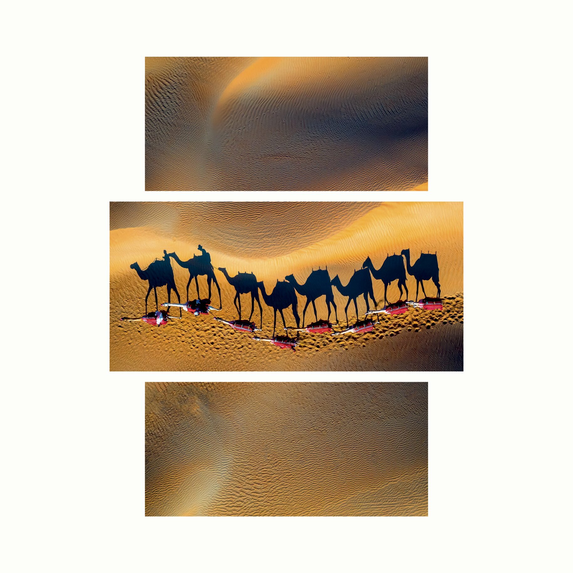 Модульная картина "Верблюды" (Размер:100х130см (80х38,100х48,80х38))