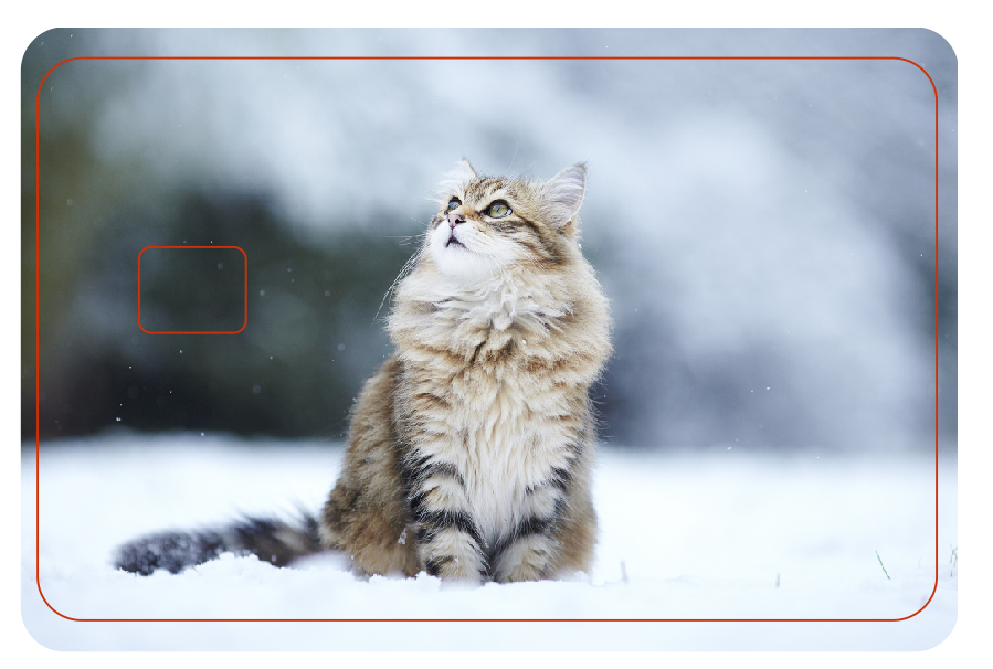 Наклейка на банковскую карту, стикер на карту, кошки