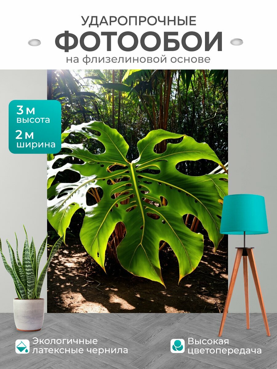 Фотообои моющиеся ударопрочные "Монстера, тропическое растение с большими резными листьями, растущее на фоне яркого тропического леса, солнечные" 200x300 см. флизелиновые на стену