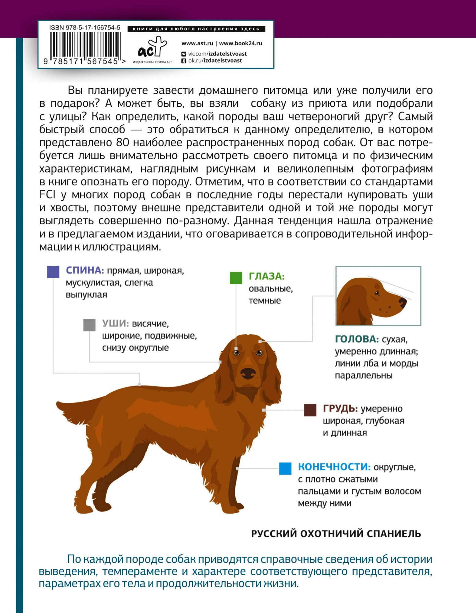 Определитель собак. Физические характеристики и особеннности породы (Ирина Барановская)