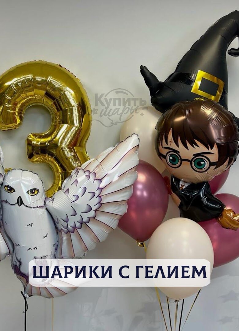 Воздушные шары с гелием, шарики воздушные "Гарри Поттер" №2694