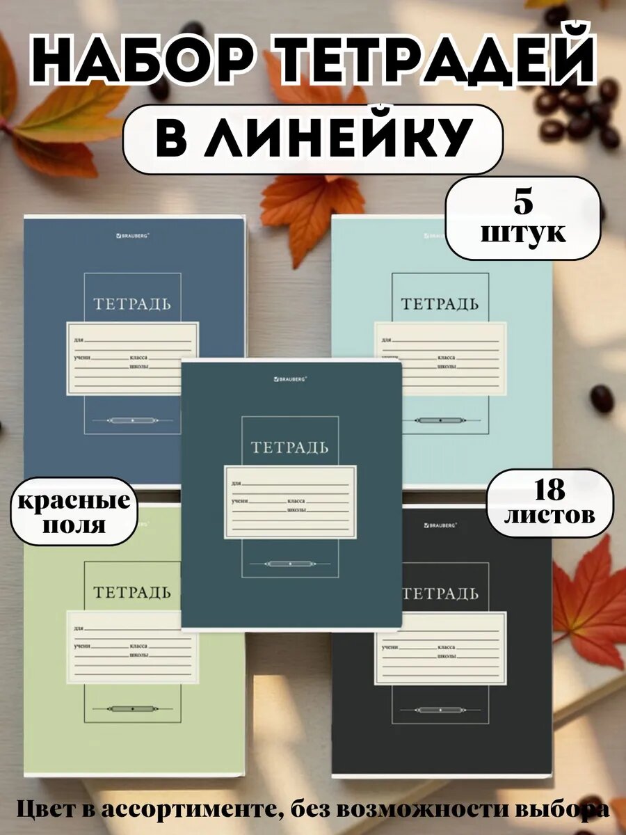 Тетради в линейку 18 листов набор 5 штук