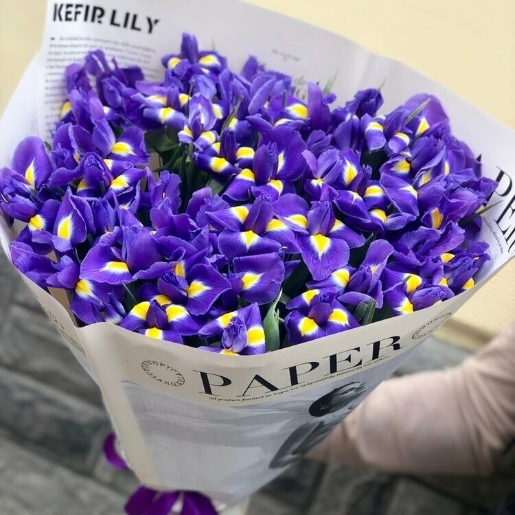 Букет из фиолетовых ирисов 51 шт, красивый букет цветов, шикарный, премиум цветы, премиум букет