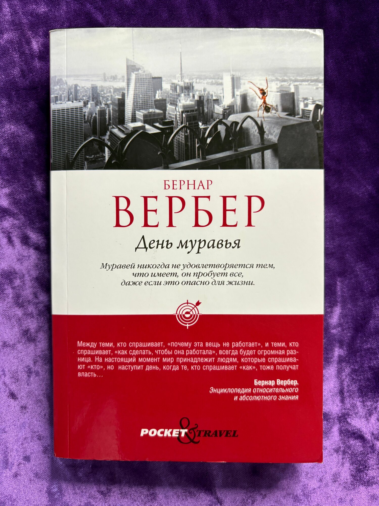 День муравья