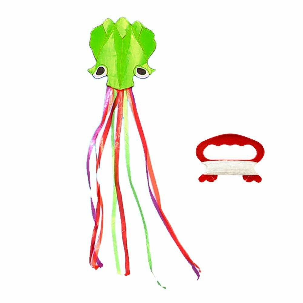 Большой кайт для детей и взрослых с линейной доской Great