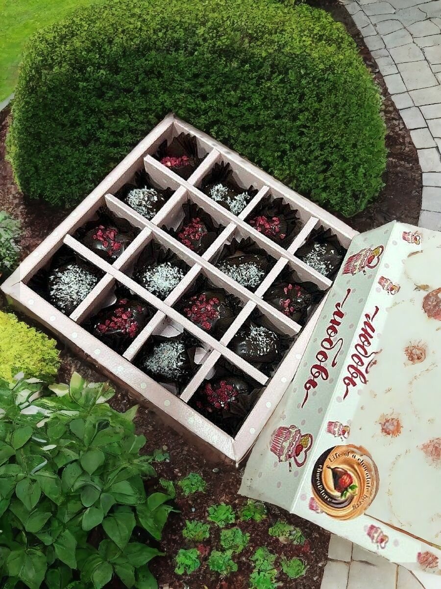 Набор шоколадных финников "Фрукты", молочный шоколад, без ГМО, в подарочной упаковке, 16 шт