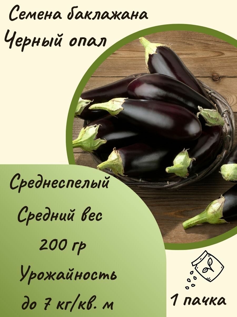 Семена баклажана Черный опал, 10 шт. семян