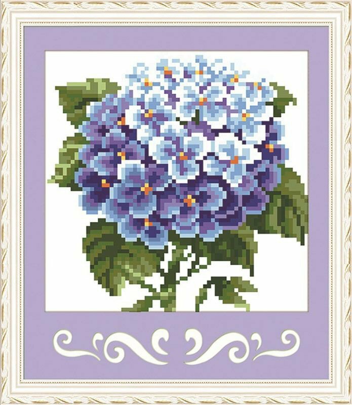 Гортензия MO011