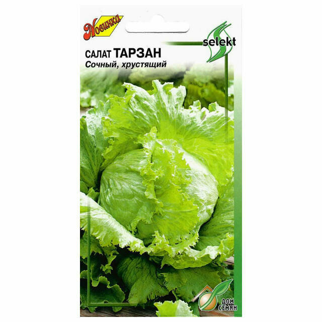 Тарзан - семена салата от Дом Семян Неприхотливый раннеспелый гибрид для сада