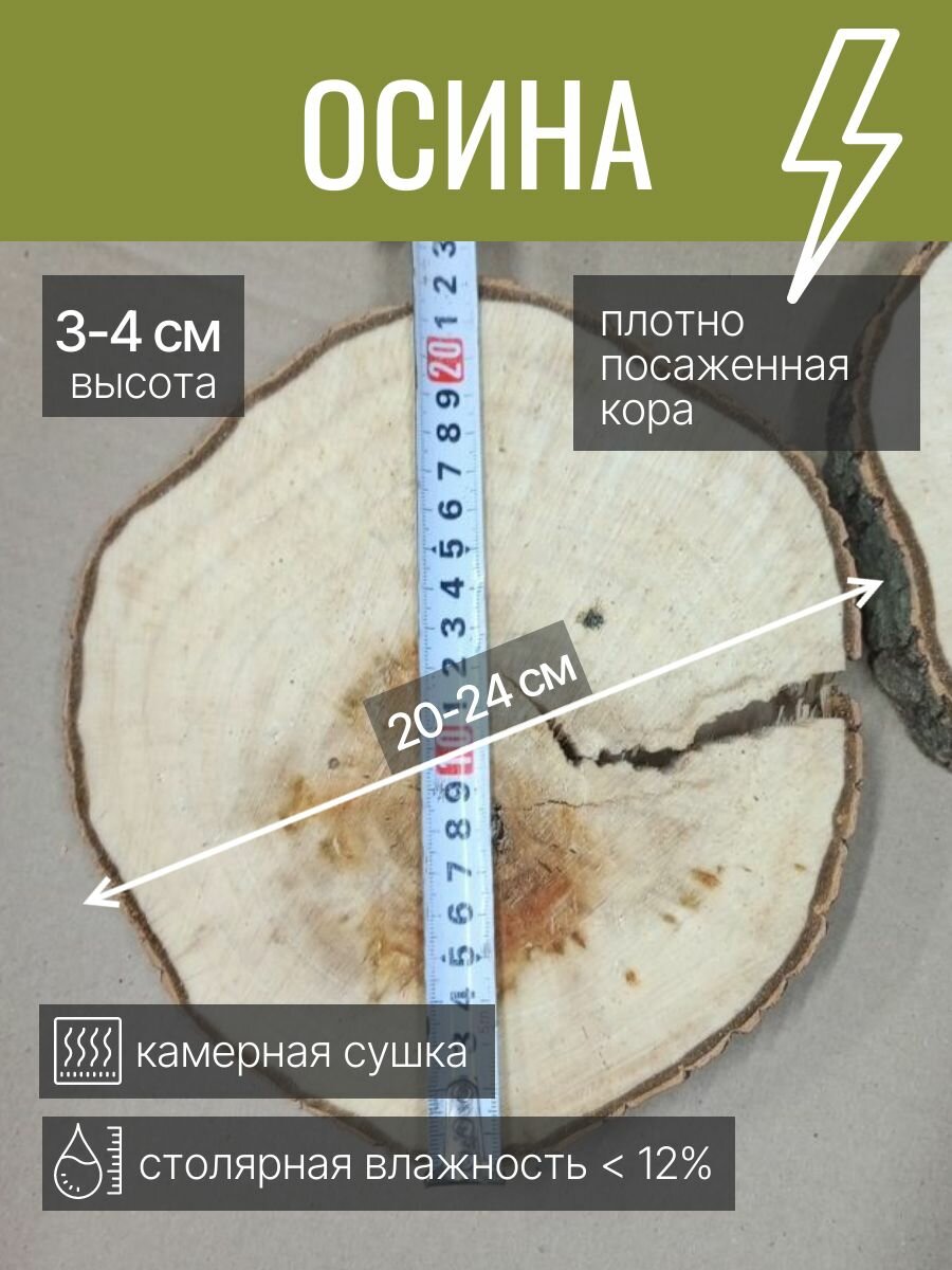 Спил дерева, Осина d 21-26 см, с трещиной, срезы, для декора и творчества, деревянные заготовки