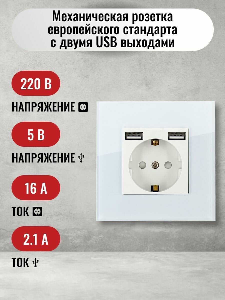 Розетка одинарная с USB KLUST Basic, с заземлением, со шторками, с рамкой из закаленного стекла белая