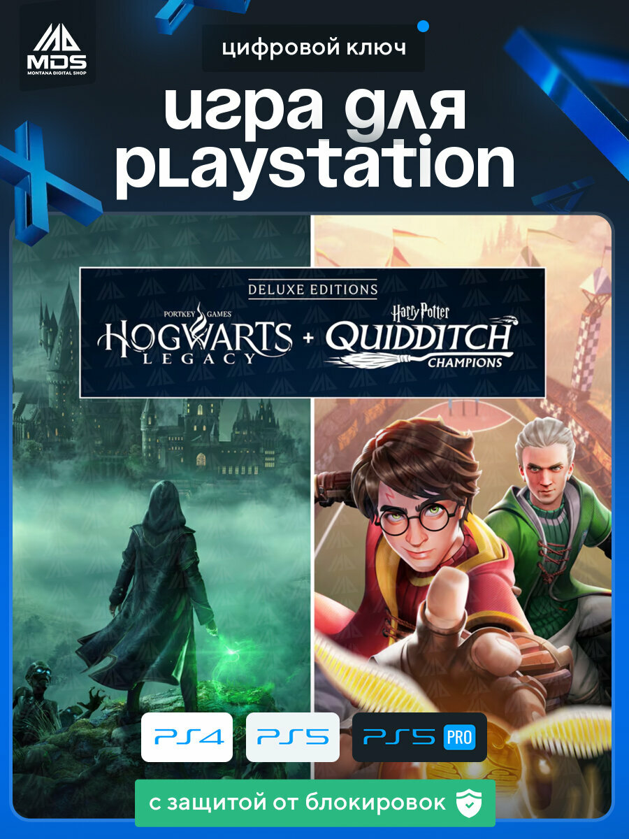 Игра Hogwarts Legacy + Harry Potter: Quidditch Champions для PlayStation 4 (аккаунт с игрой, позиция П3)