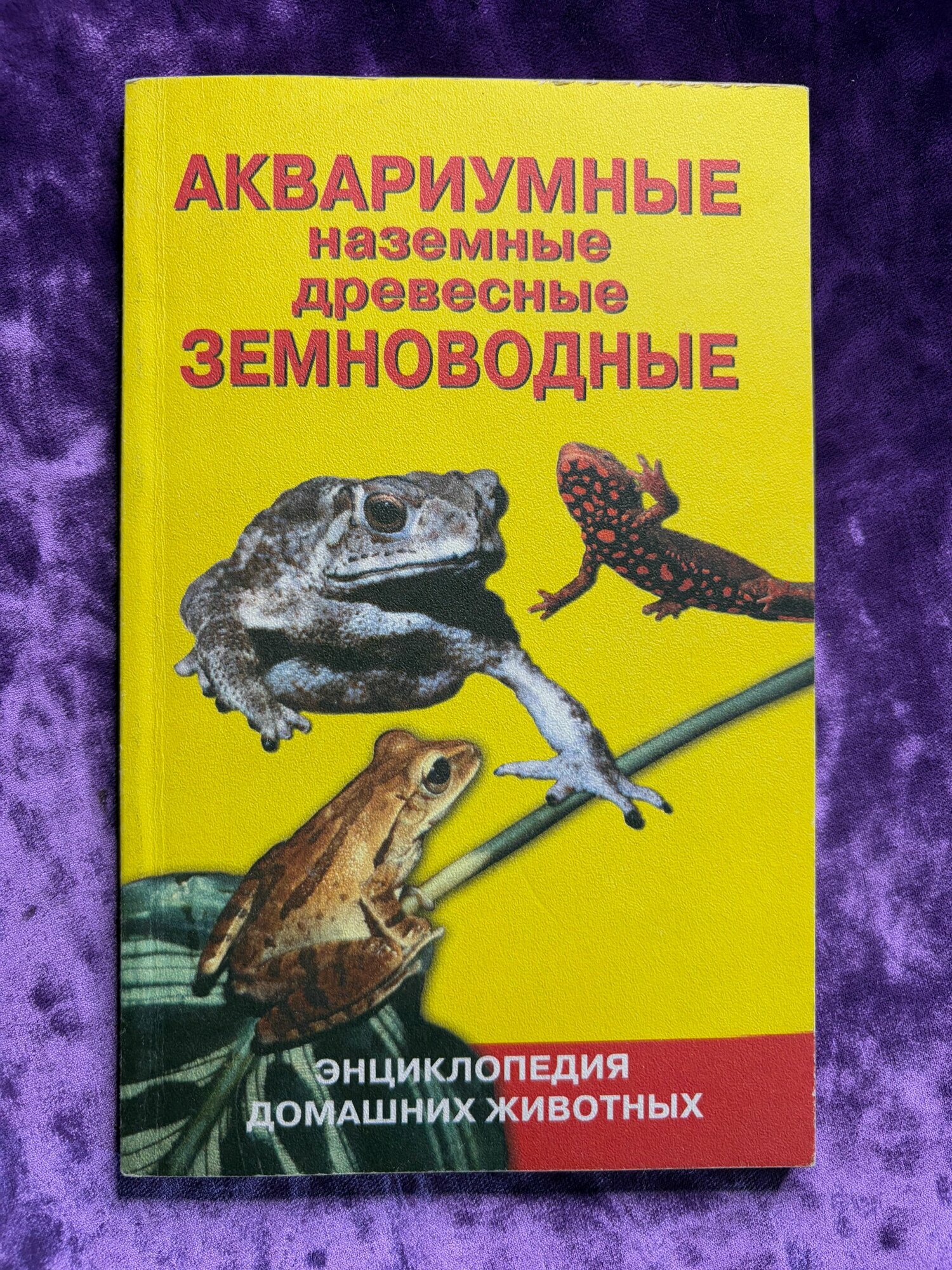 Аквариумные, наземные и древесные земноводные