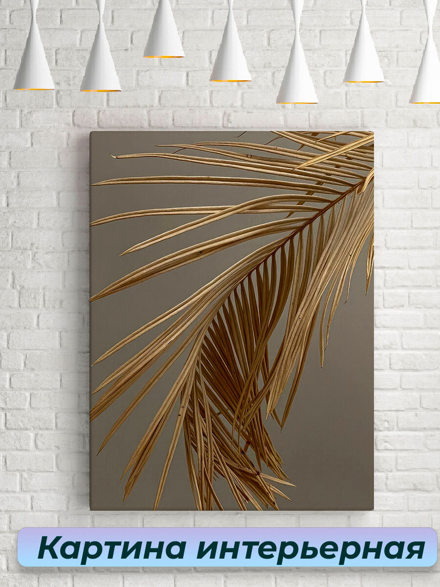 Картины для интерьера 50х70 Листья сухоцвет хамедорея