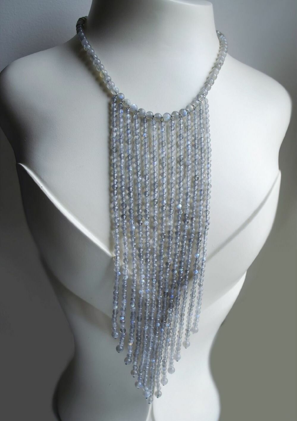 Колье, лабрадор