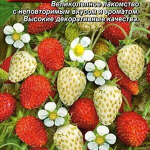 Семена Земляника Зита и Гита, смесь