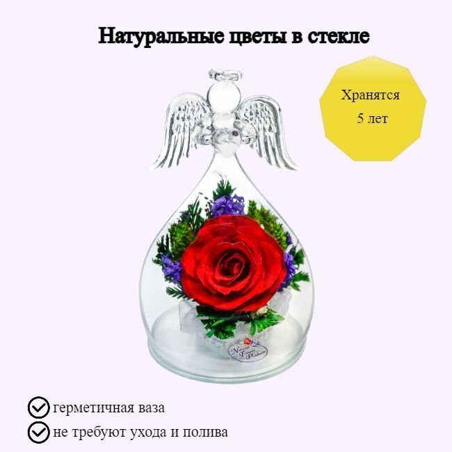 Композиция из натуральных цветов в стекле NFP, 12.5х7.5 см