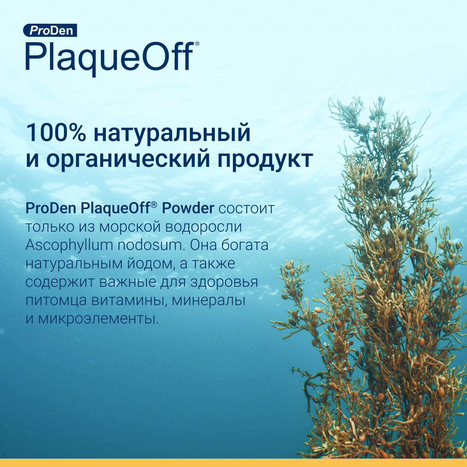 ProDen PlaqueOff средство для профилактики зубного камня у кошек 40 г — фото 1