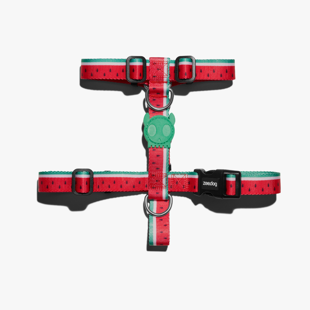 Шлейка LOLA Zee.Dog (красный / M)