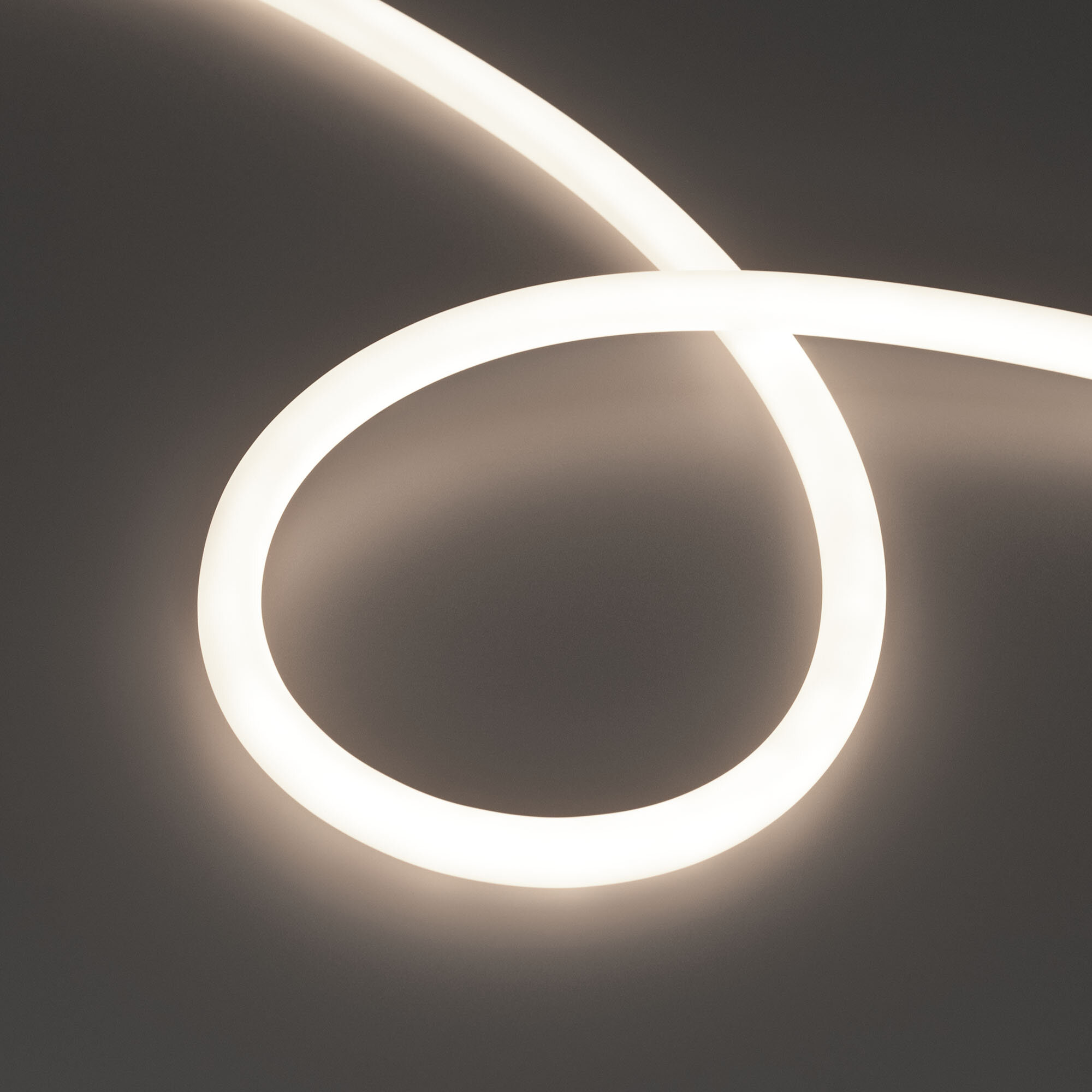 Гибкий неон Arlight Лента герметичная MOONLIGHT-TOP-S-M560-D13mm 24V Day4300 (13 W/m, IP65, 5m, wire x1, трос) (Arlight, Вывод кабеля прямой), 5м