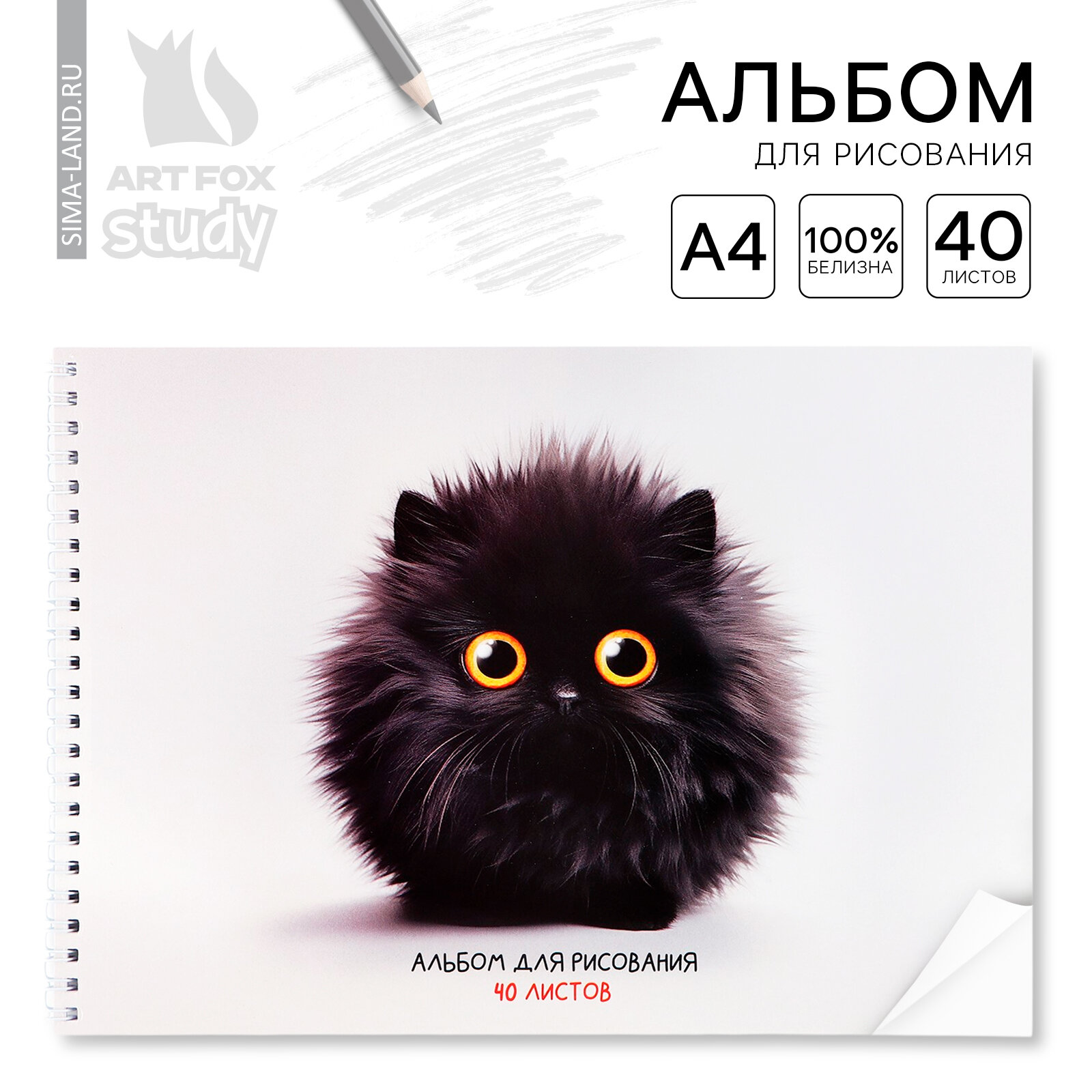 Альбом для рисования 40 листов на пружине А4 "Черный пушистик"